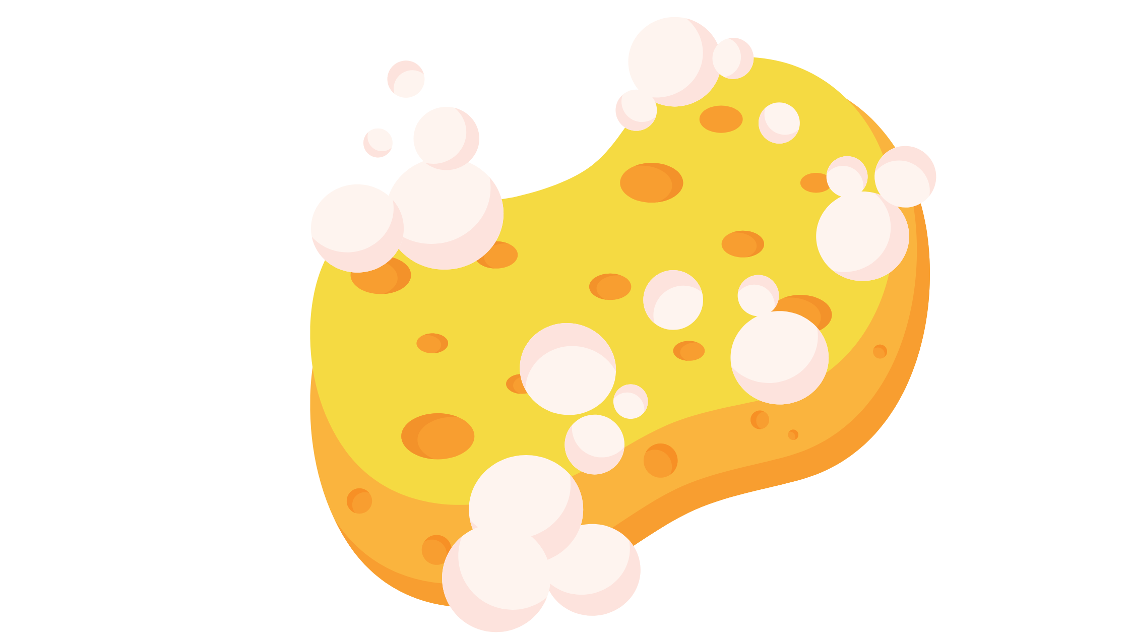 Soaking up Knowledge: The Learning Sponge